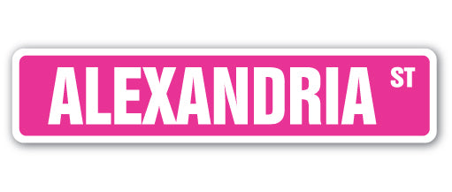ALEXANDRIA Street Sign Childrens Name Room Metal Sign Decal | eBay